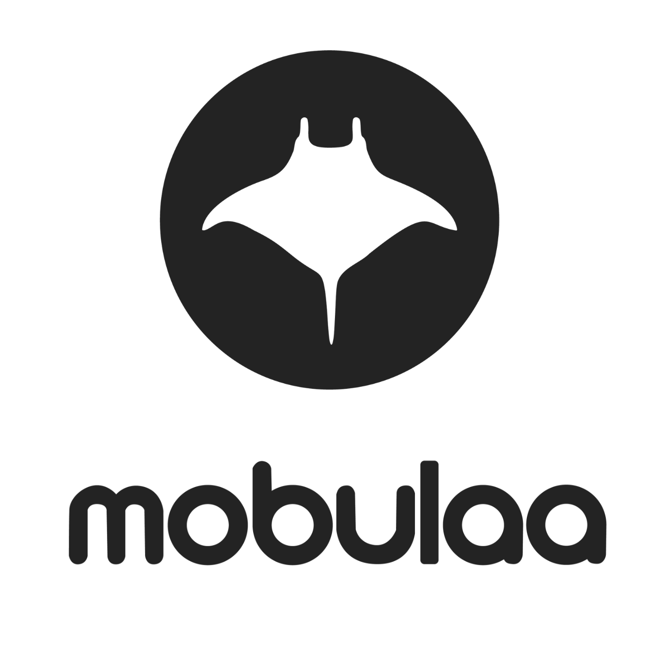 new arrive – Etiquetado " mobulaa_ecuador " – ECMOVILATINO